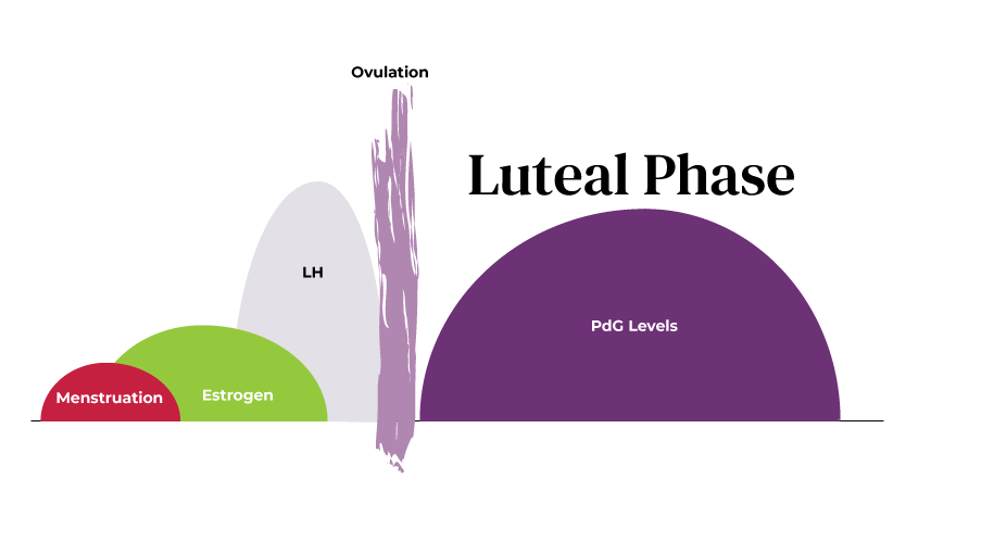 Learn All About Luteal Phase Defect Proov Learn All About Luteal Phase Defect Proov