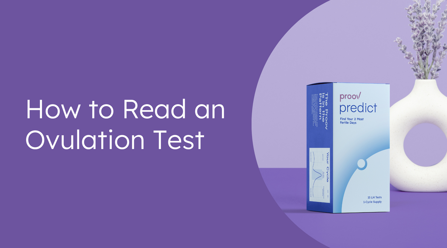 Learn How to Read an Ovulation Test