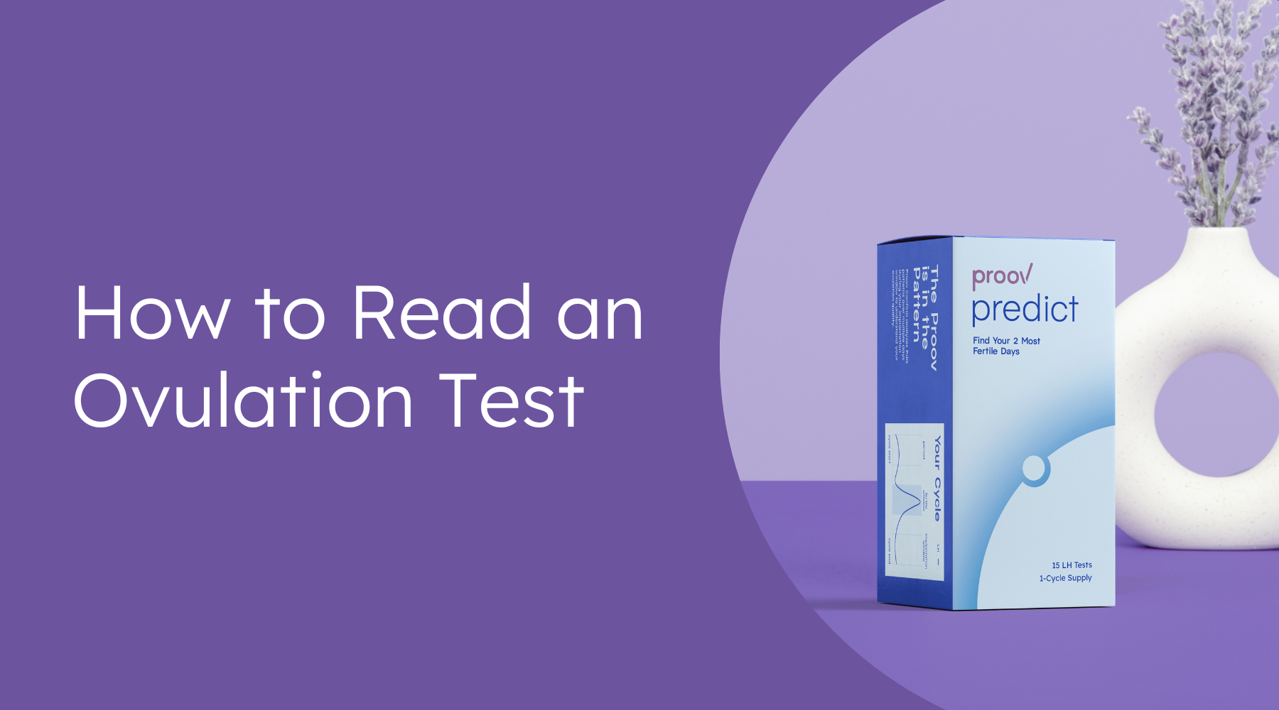 Learn How to Read an Ovulation Test