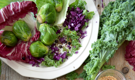 5 Ways to Naturally Increase PdG Levels