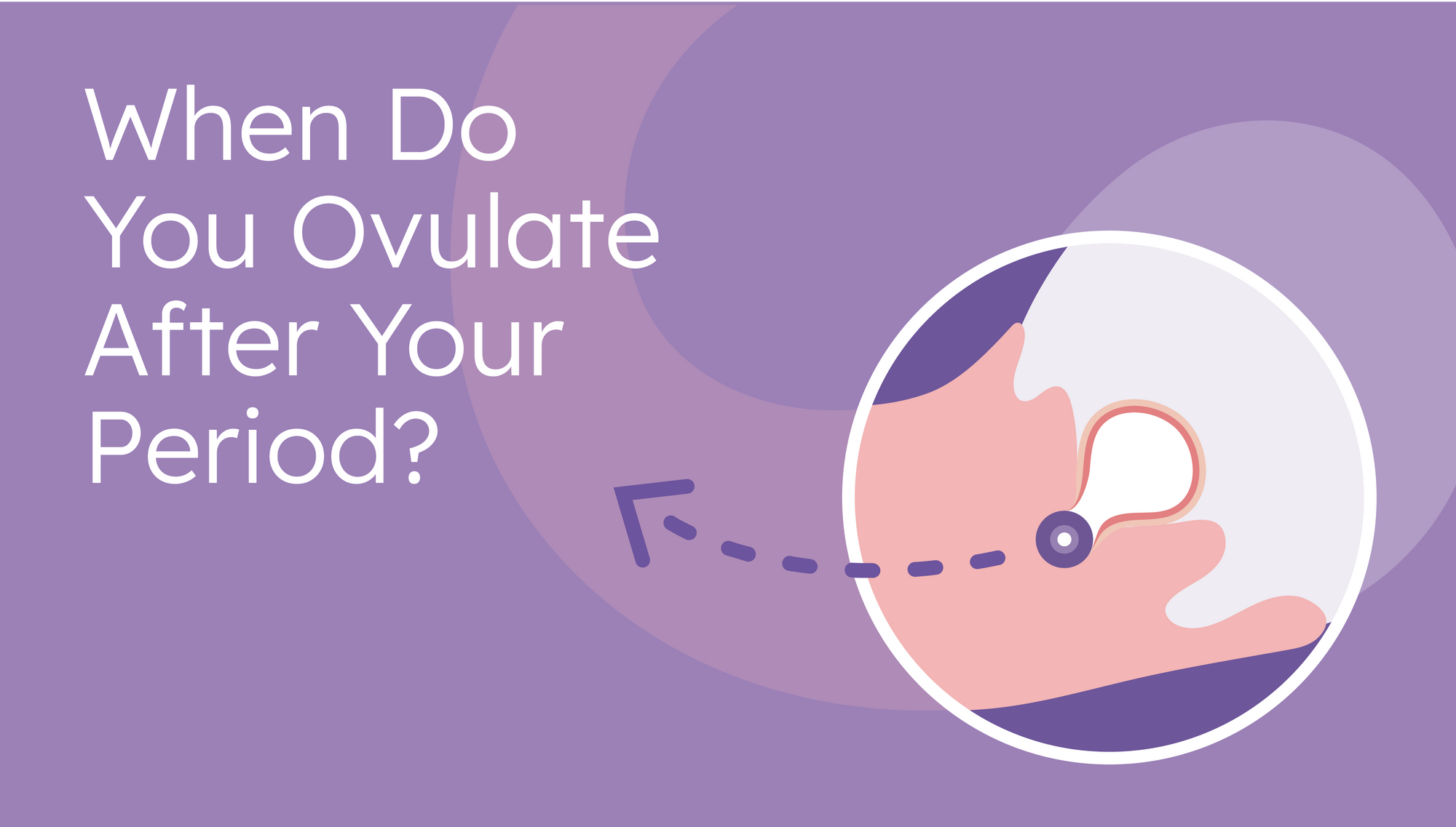 When do you ovulate after your period?