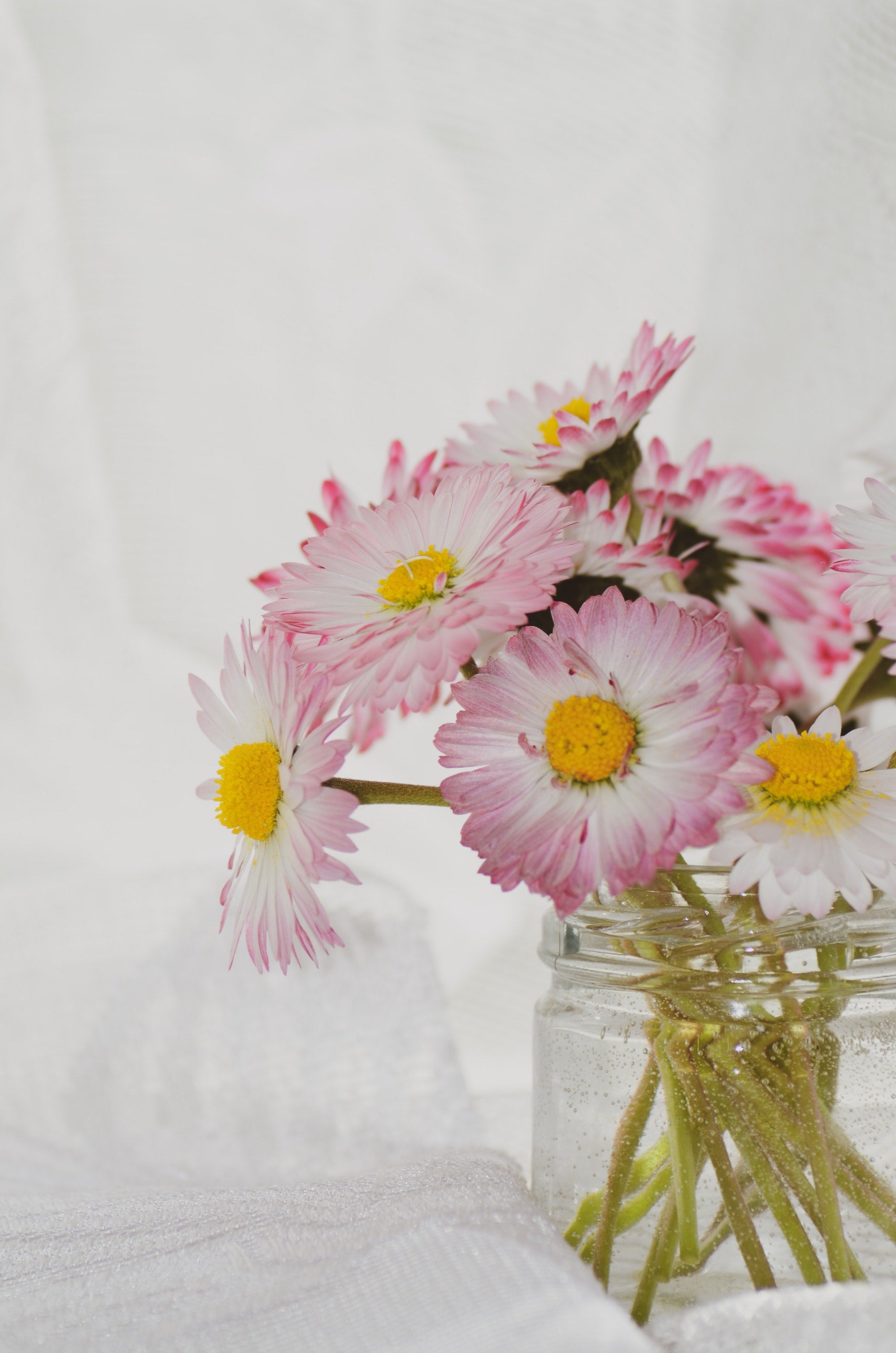 Can a PdG test confirm pregnancy? - What do progesterone marker tests ...